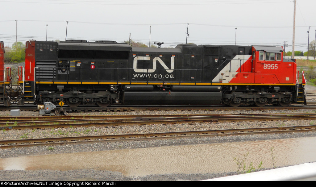 CN 8955